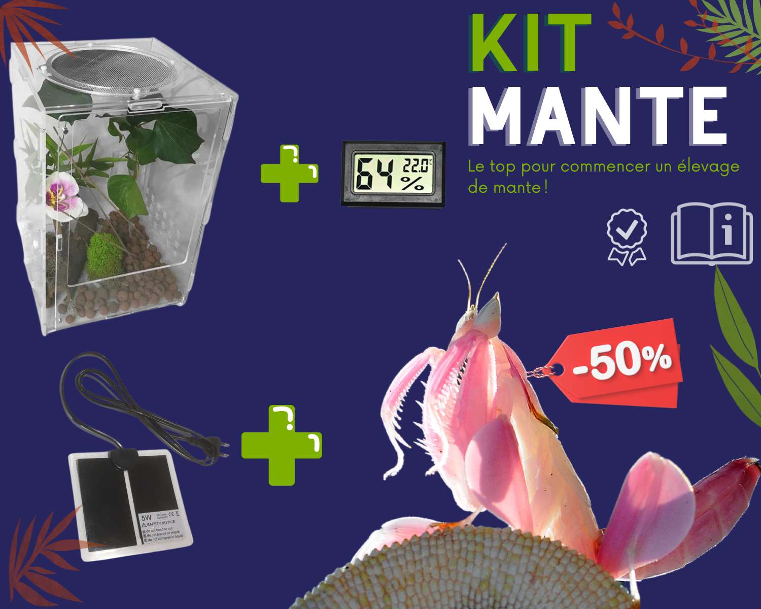 Kit de cría - Mantis (religiosa) – L'insecterie